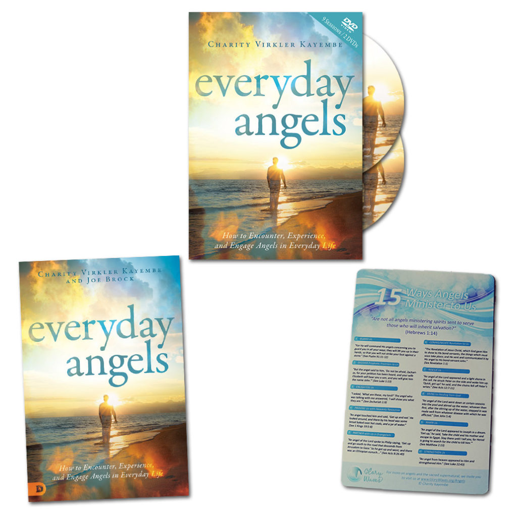 Everyday Angels PDF eBook: How to Encounter, Experience, and Engage ...